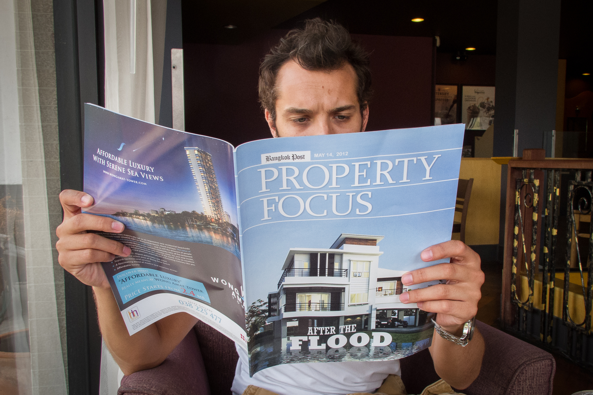 News | The Witness Tree