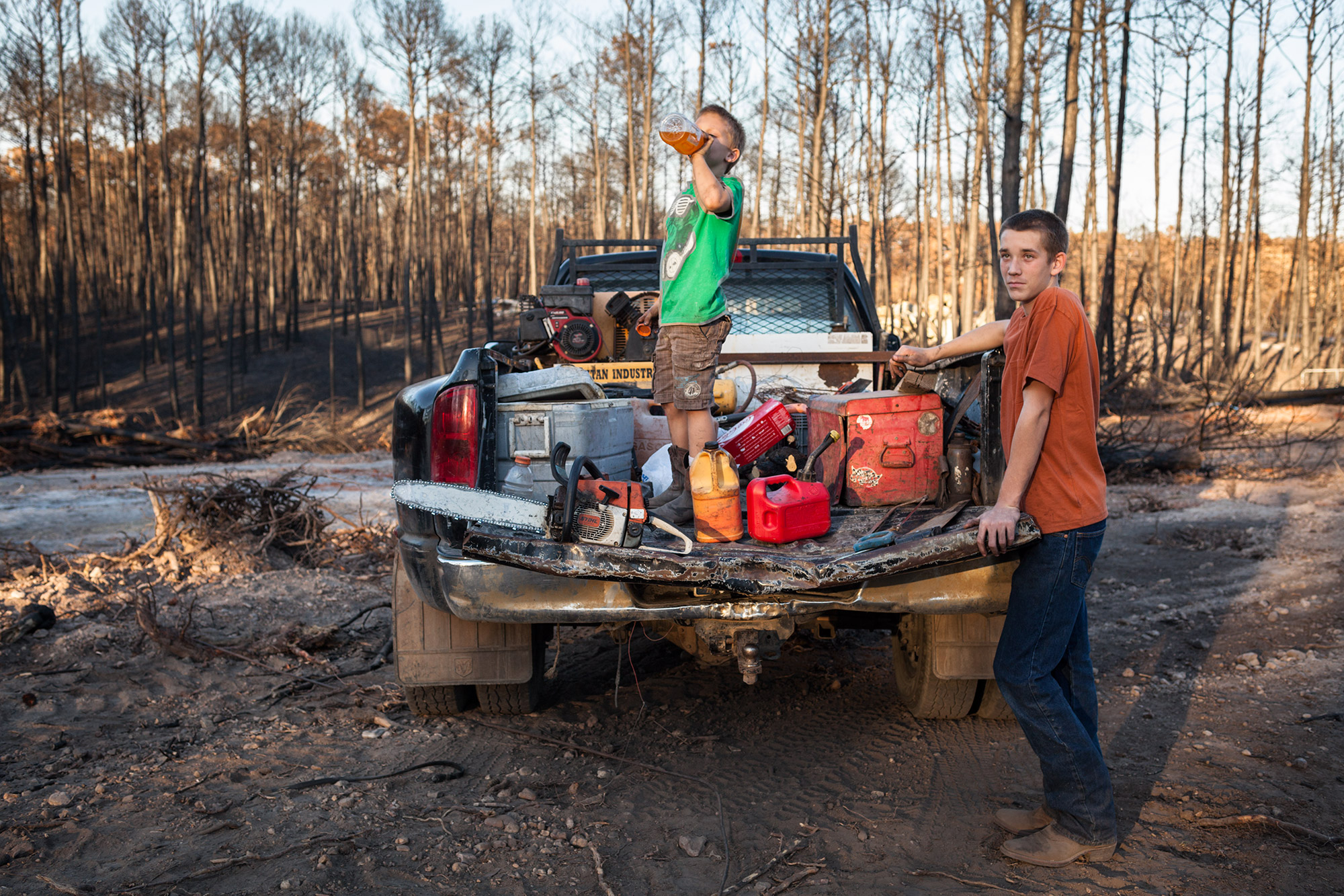 Humans | The Witness Tree