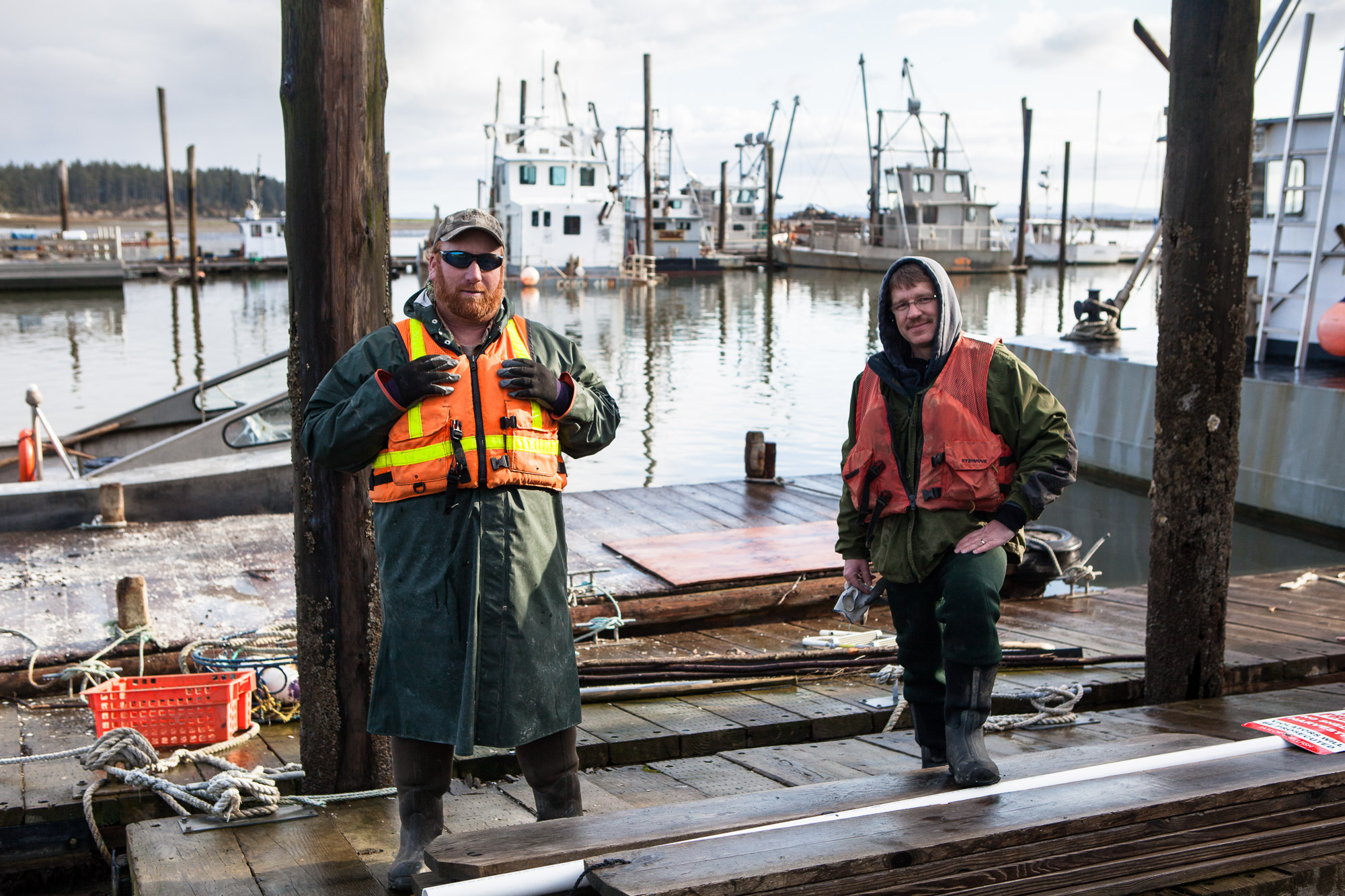 Humans | The Witness Tree