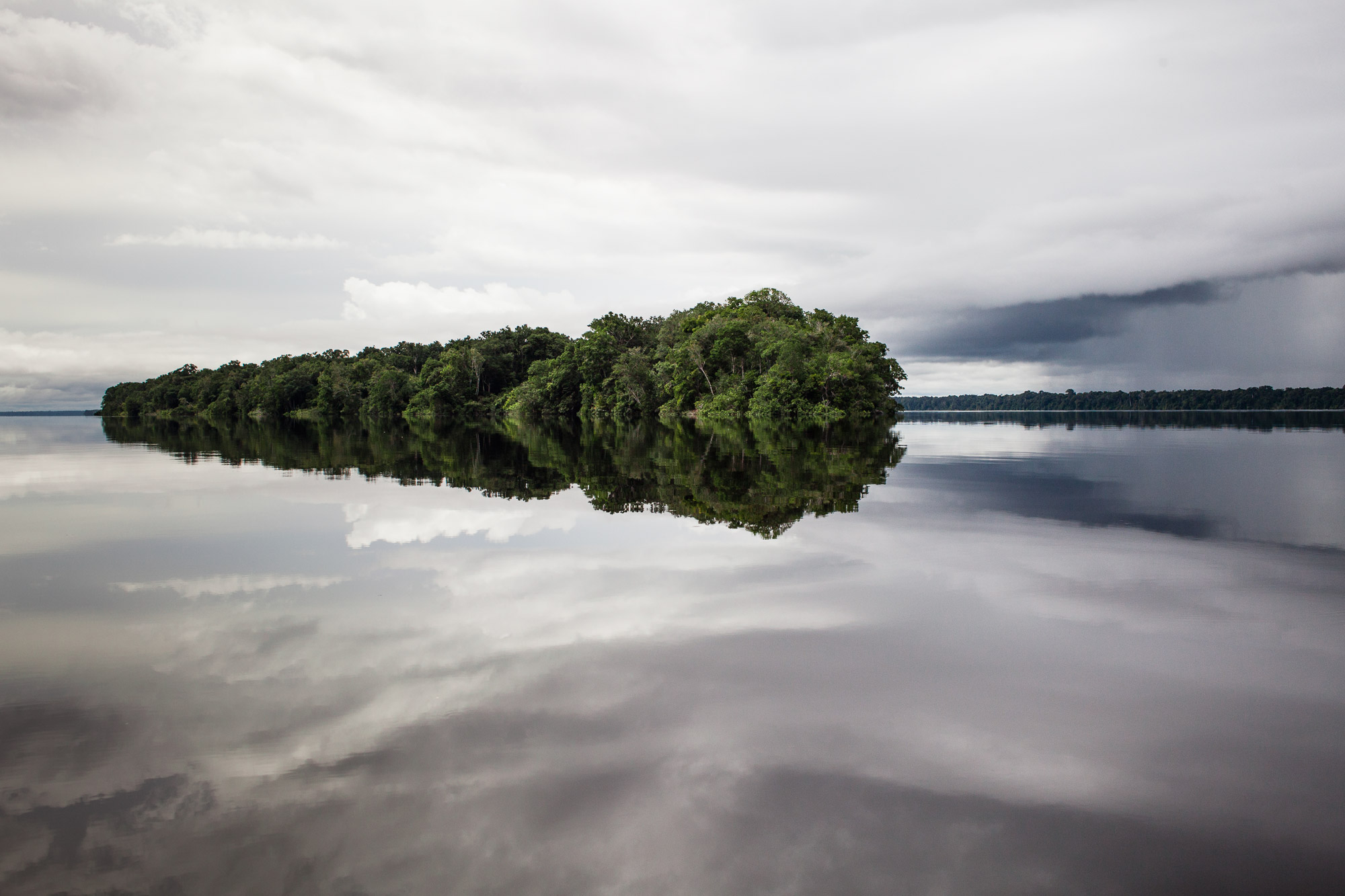 Water | The Witness Tree