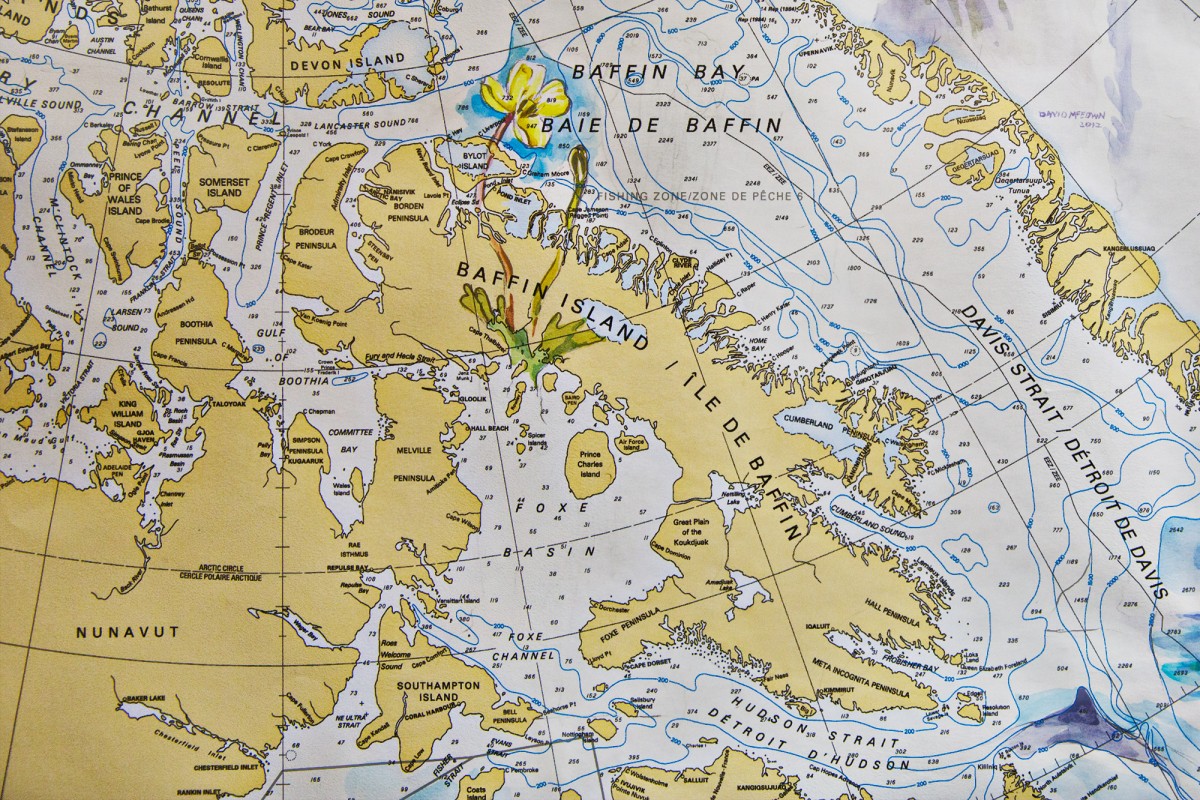Map | The Witness Tree