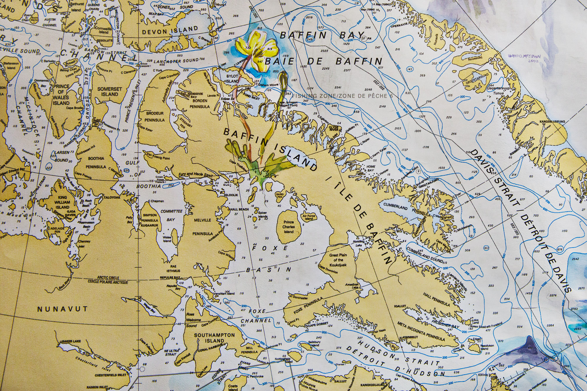 Map | The Witness Tree